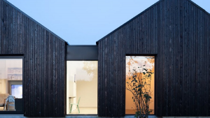 Why Should You Choose Burnt Timber Cladding? - Return 2 Paradise